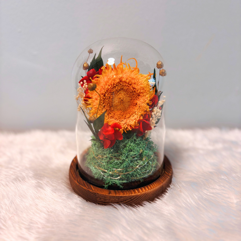 Here Comes the Sun Preserved Sunflower Dome | Everlasting Floral Gift