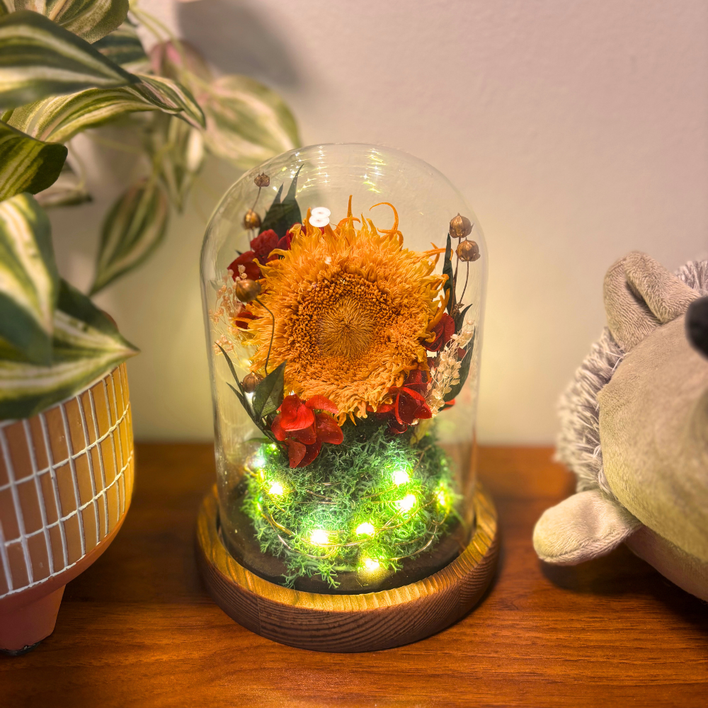 Here Comes the Sun | Preserved Sunflower Dome Meaning & Gift Guide
